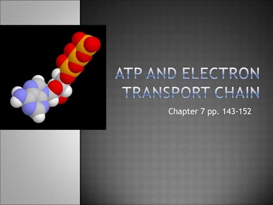 Atp production | PPT