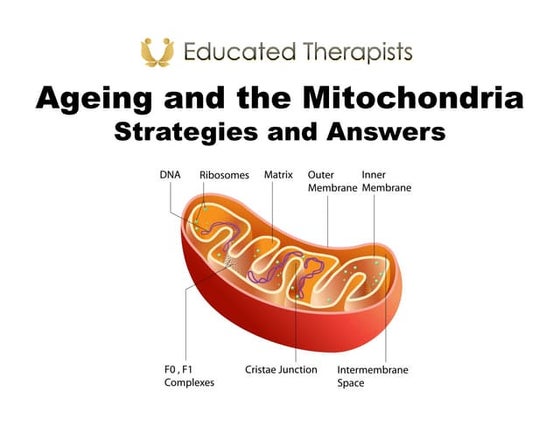 Sickle-Cell Anemia Case Study | PPT