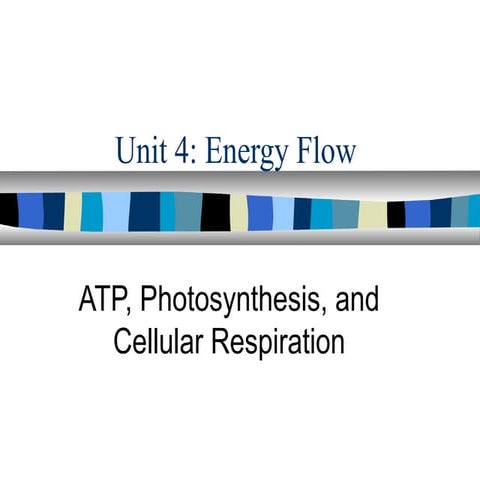 ATP, Photosynthesis, and Cellular Respiration | PPT