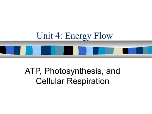 Photosynthesis and respiration powerpoints | PPT