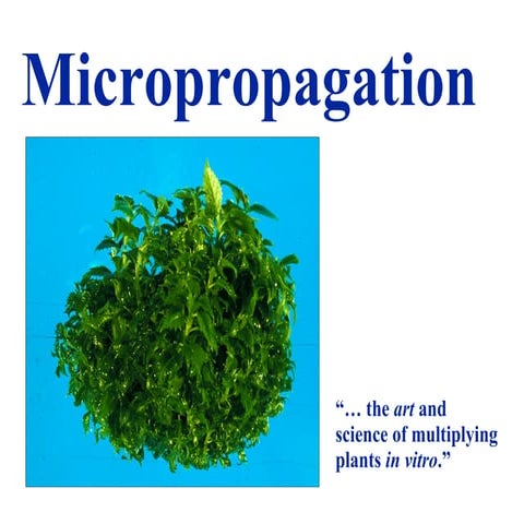 Microprop | PPT