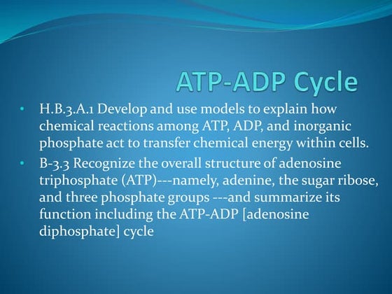 Energetics- role and formation of ATP and functions of ATP | PPTX ...
