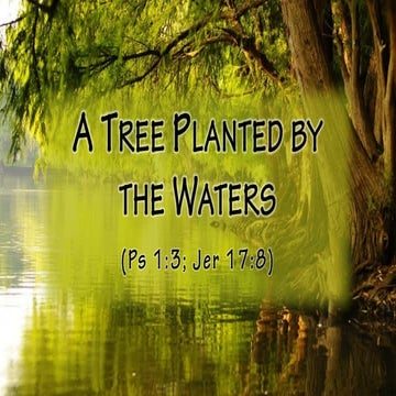 A tree planted by the waters | PDF