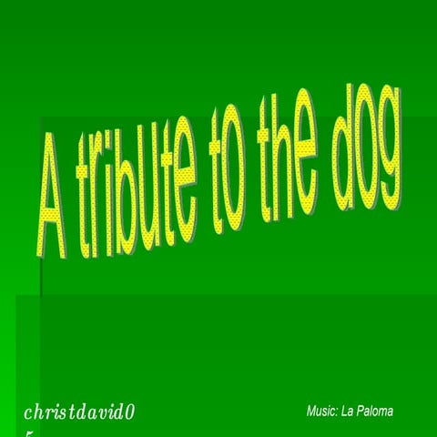 A tribute to the dog | PPS