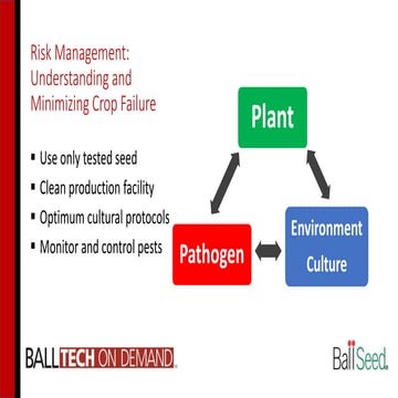 Ball Tech On Demand: At Risk Crops - Geranium | PPTX