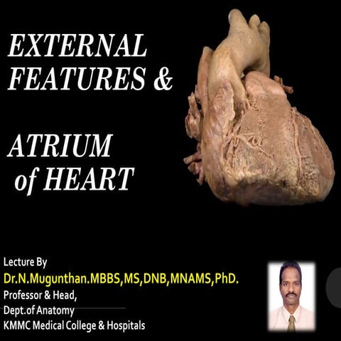 tannerstagescard (1).pdf