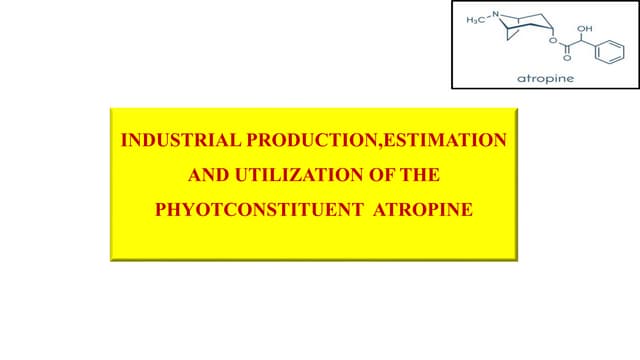 Isolation, Identification And Analysis Of Atropine | PPTX | Chemistry ...