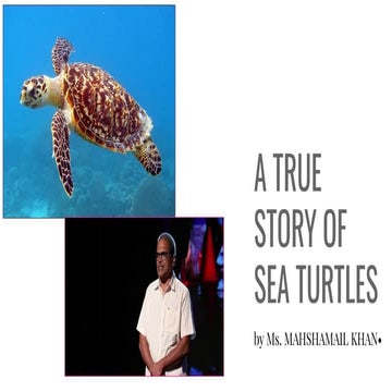A True Story of Sea Turtles by Mahshamail Khan.pdf
