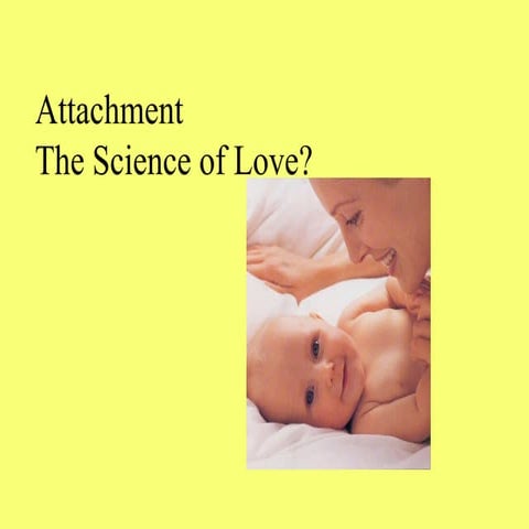 Attachment definition | PPT