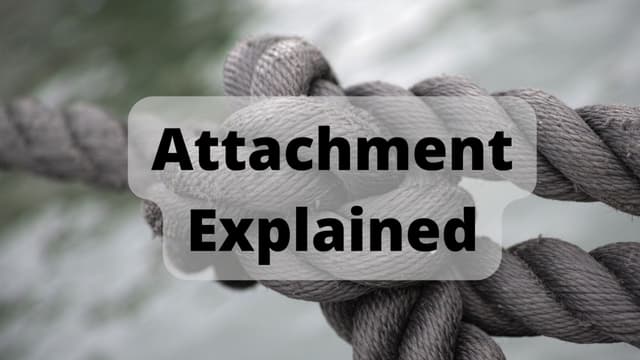 Attachment Explained.pdf Attachment Explained.pdf