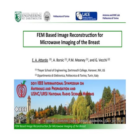 Finite Element Reconstruction For Microwave Imaging Of The Breast Ppt