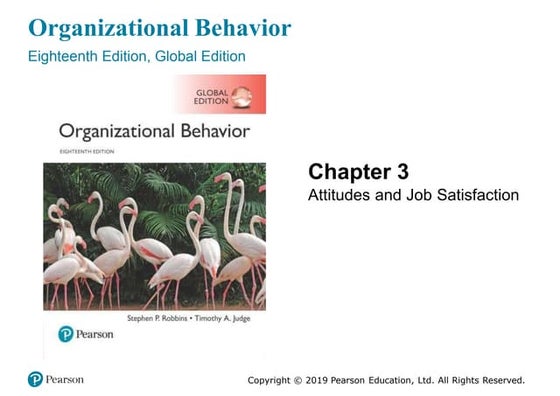 Organizational behavior chapter 2 | PPTX | Human Resources | Business