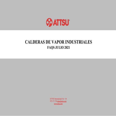 Attsu calderas vapor julio 2021 | PDF