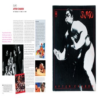 Sumo - After Chabon | A TODO VOLUMEN - Historias de Tapas del Rock ...