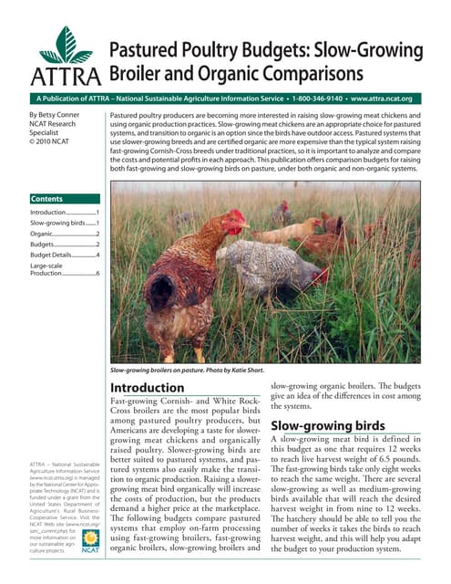 Broiler farm-project-report-1000-birds | PDF | Agriculture | Industries