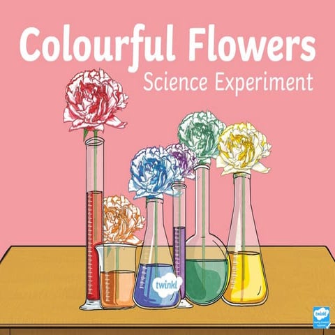 au-t2-s-1354-colourful-flowers-science-experiment-powerpoint-english ...