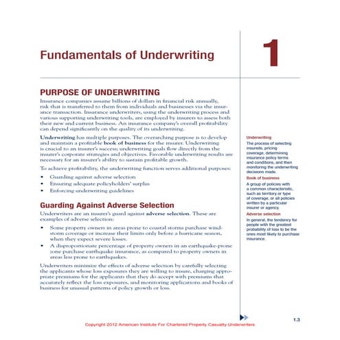 underwriting | PDF