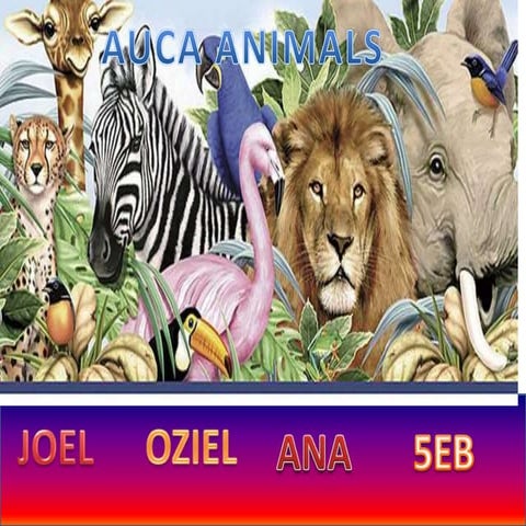 Auca de animals | PPT