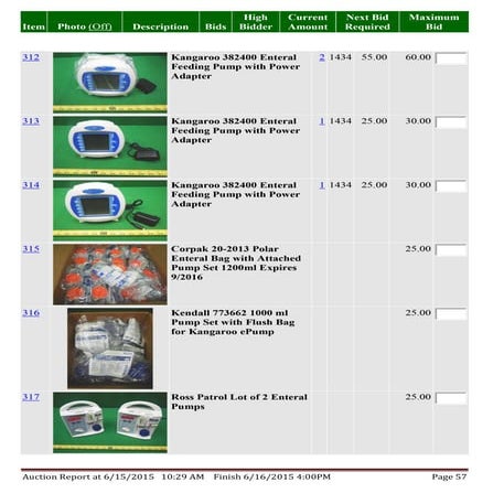 Auction report 19 | PDF