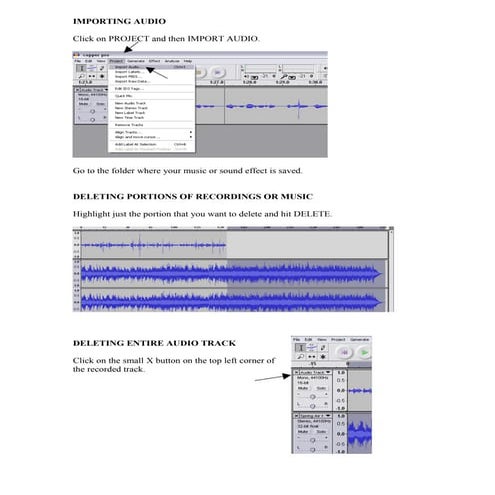 Audacity instructions | DOC