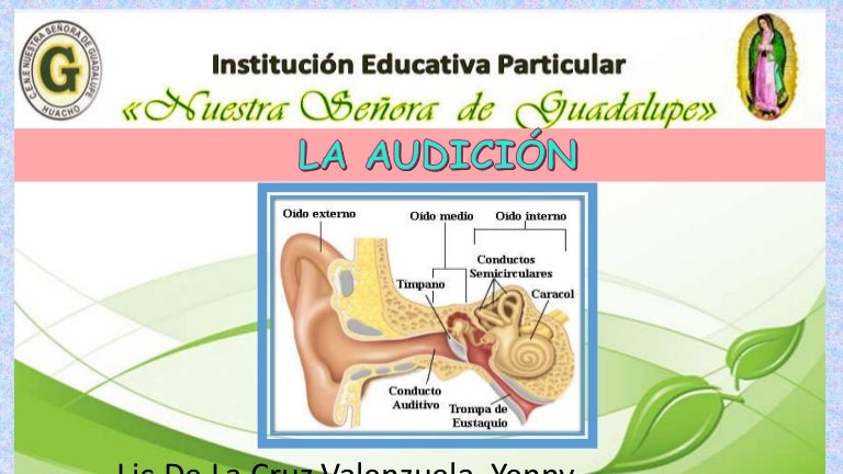 Audicion