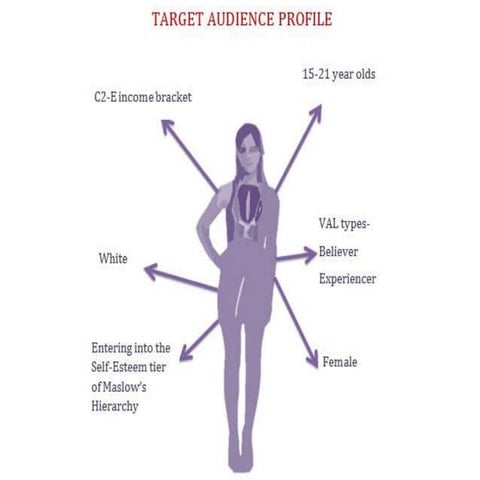 Target Audience Profile Ppt