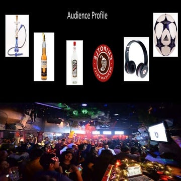 Audience profile | PPT