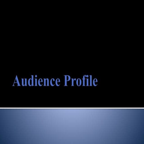 Target Audience Profile | PPTX