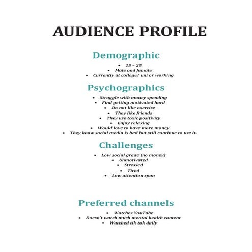 Audience profile | DOCX