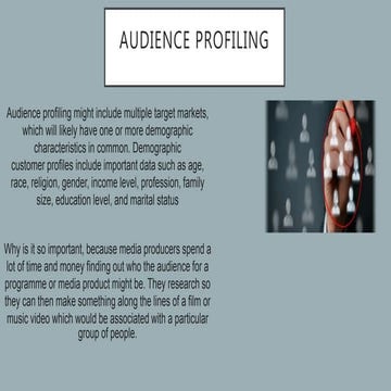 Audience profiling roze | PPT | Free Download