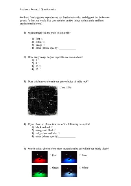 Audience feedback questionnaire on rough cut | PDF