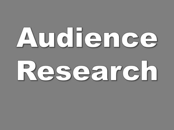 Target Audience Profile Pptx