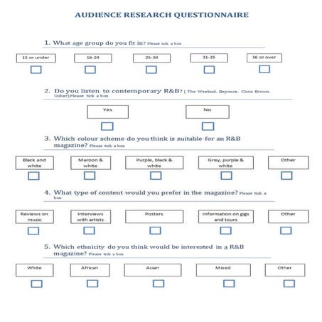Audience research questionnaire | DOCX