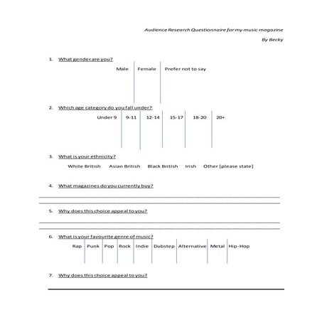 Music Target Audience Questionnaire | DOCX
