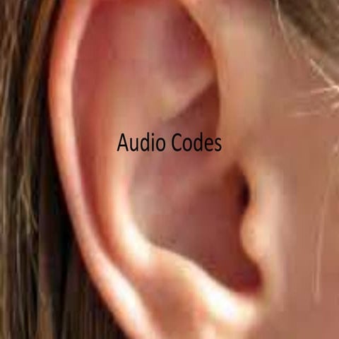 Audio codes | PPT