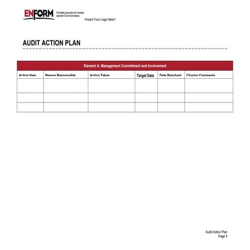 Audit-Action-Plan_Template.docx free for you | DOCX