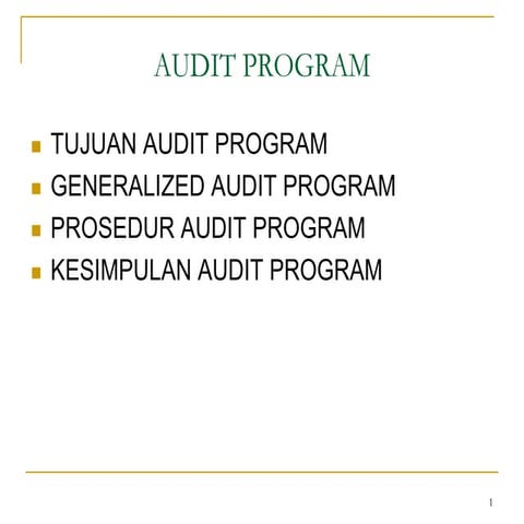 Audit Program 2 | PPT