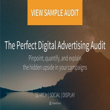 The Perfect Digital Advertising Audit | PDF