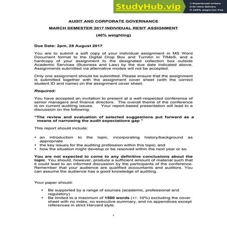 Audit Assignment | PDF