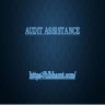 Audit Assistance.pptx