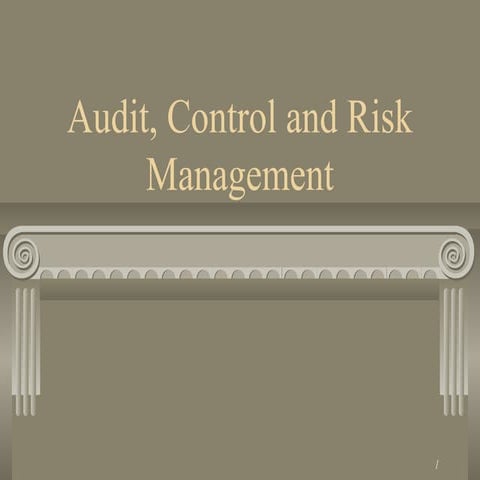Audit, control and enterprise wide risk management | PPT
