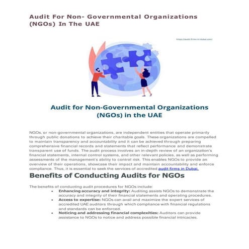 Audit For Non-Governmental Organizations (NGOs) In The UAE | PPTX