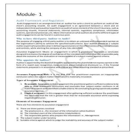 Audit Framework.docx