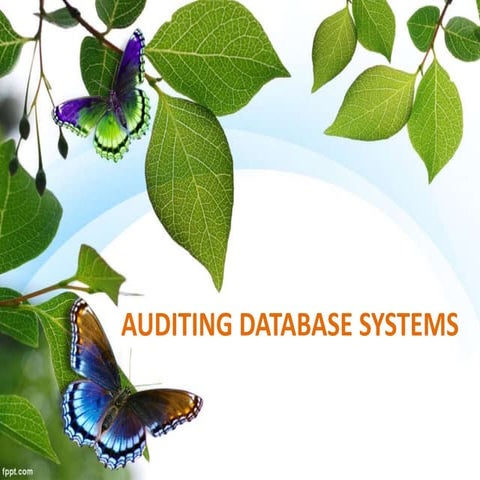 Auditing Database Systems Ppt
