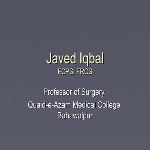 Audit javed | PPT
