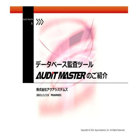 AUDIT MASTER ご紹介資料 | PPT