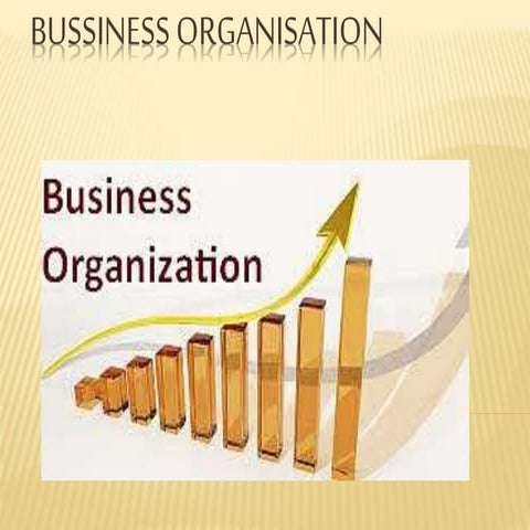 business organisation ppt | PPTX