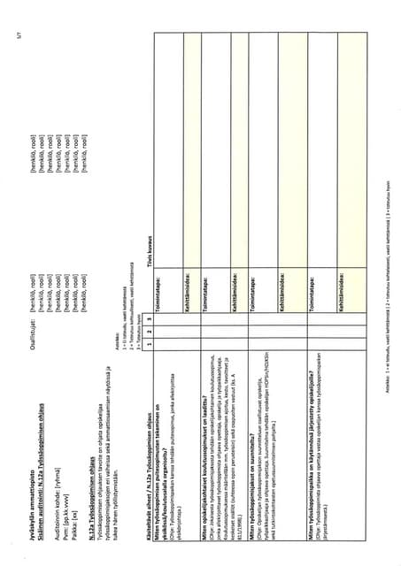 Auditointisuunnitelma to ohjaus | PDF