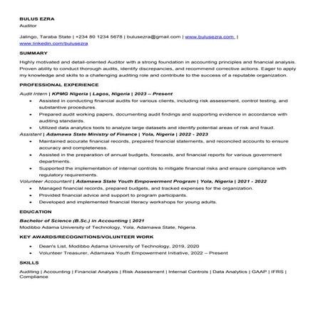 Auditor - Fully Editable ATS Resume Template.docx