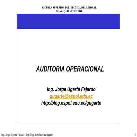 Auditoria Operacional. | PDF